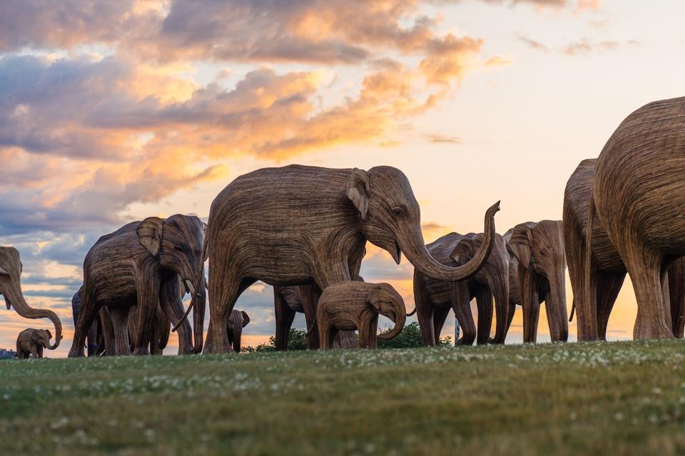 Migration Of 100 Life-Size Elephant Sculptures Will Make Stop In New ...