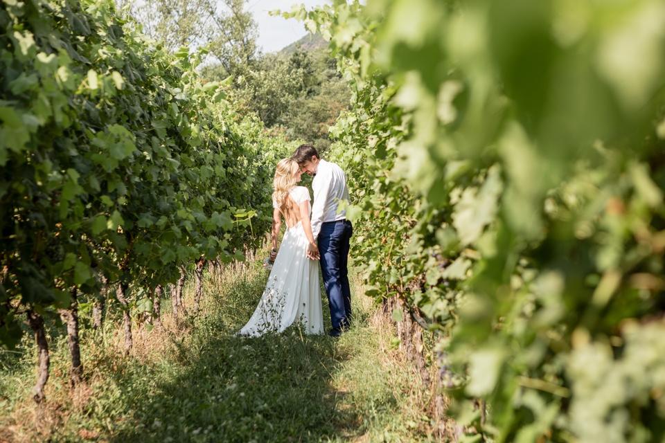 The Most Beautiful Vineyard Wedding Venues In Europe, According To New ...
