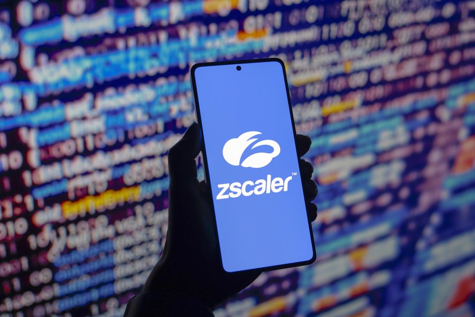Why Did Zscaler Stock Crater 20%?