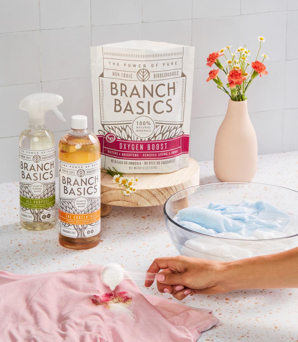 Branch Basics’ Co-Founder Says “Sometimes, Your Biggest Challenge Is ...