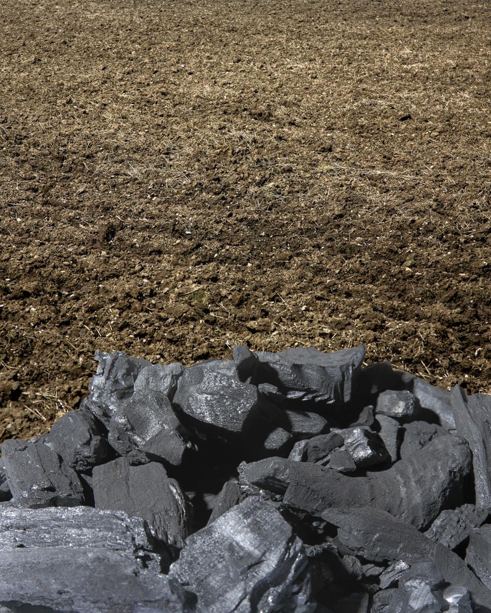 How This Company Uses Biochar To Reverse Soil Degradation