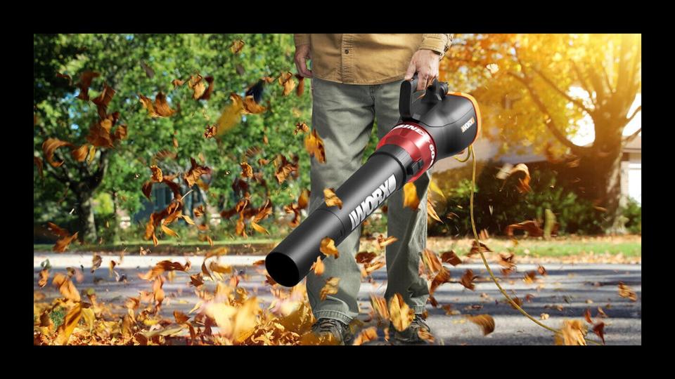 Best Leaf Blowers 2025 - Forbes Vetted