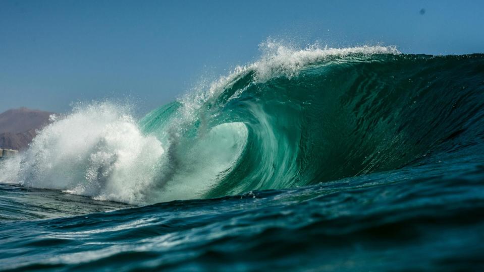 How to Make Waves and Succeed in Your Career