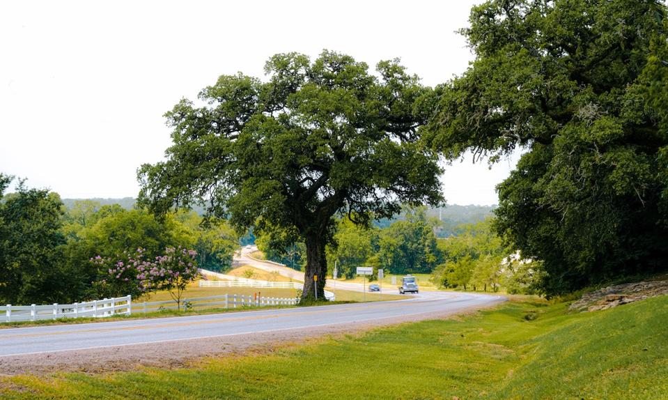 Where To Eat, Stay, Shop: Round Top Texas Antiques Fair And Beyond