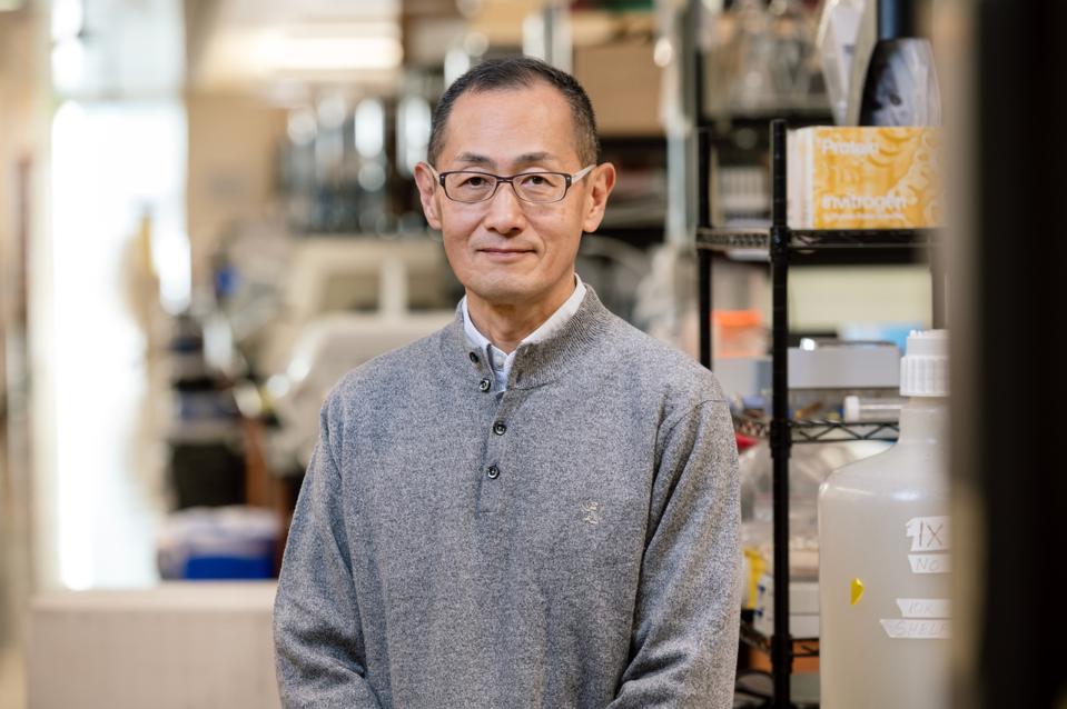 Nobel Winner Shinya Yamanaka: Cell Therapy Is ‘Very Promising’ For ...