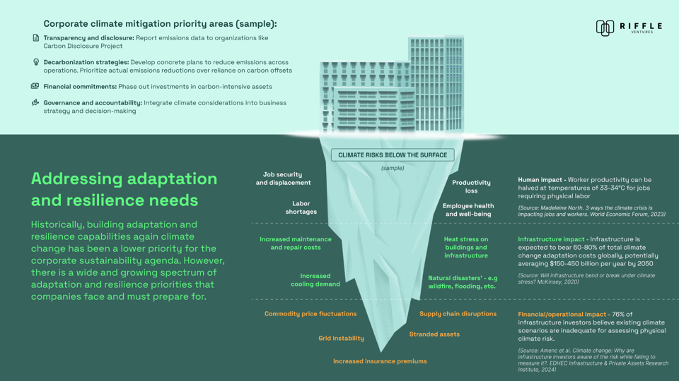 Adaptation And Resilience In Corporate Climate Agendas