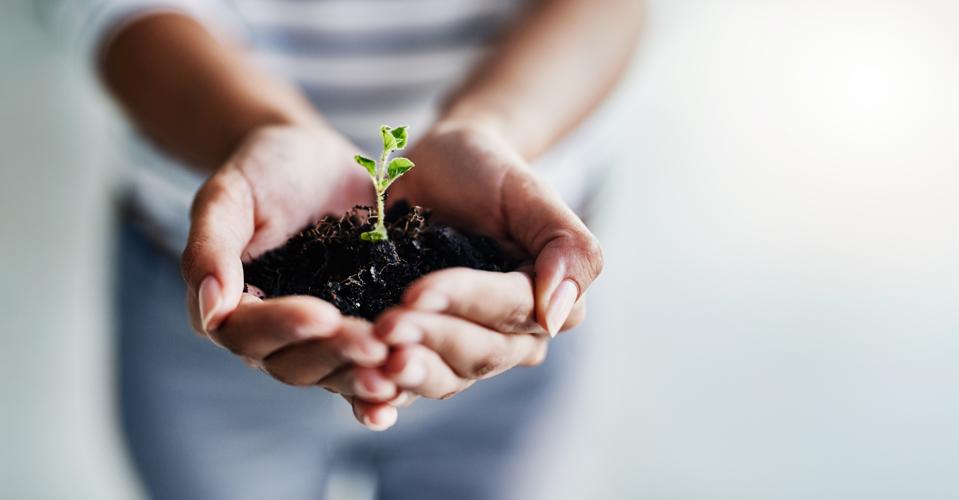 Your Business Idea Failed. So What? Here’s How To Start Again