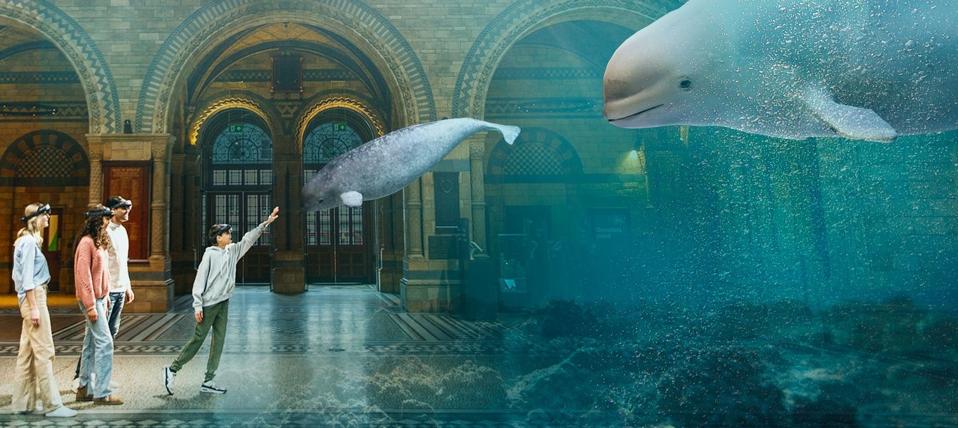 Visions Of Nature: Mixed-Reality In London’s Natural History Museum