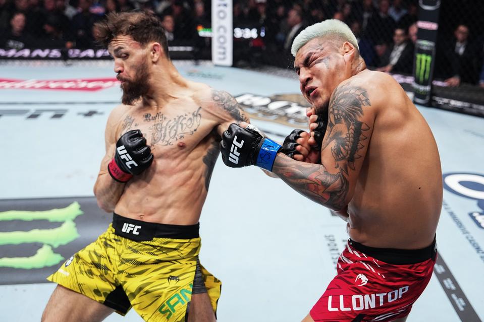 UFC Releases Contender Series Winner After Loss In Short-Notice Fight