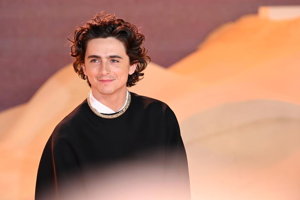 What Are The ‘Ancestral Homeland Of Timothée’ Memes?
