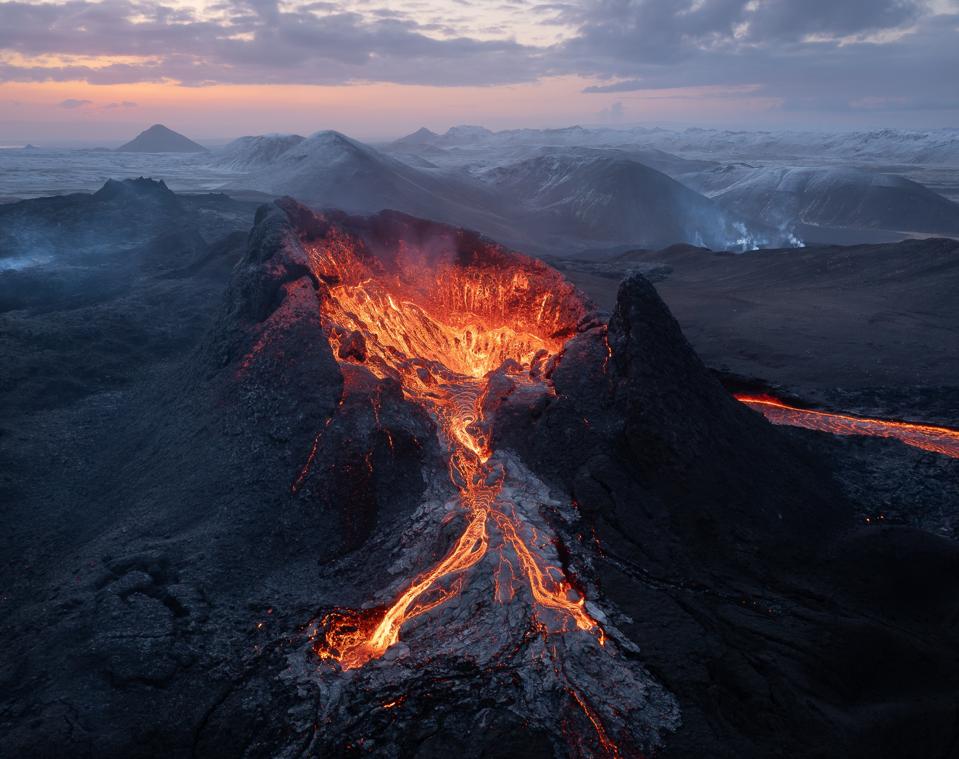 3 Animals That Prove Even Nature’s Most Deadly Volcanoes Can Actually ...