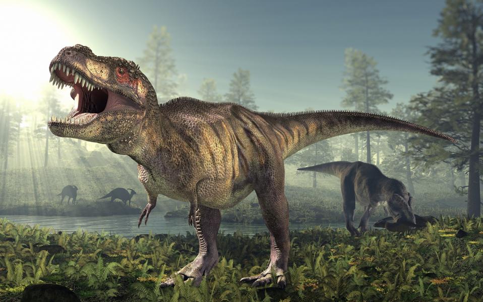 The ‘Chicken-T. Rex Connection’— Demystified By A Biologist