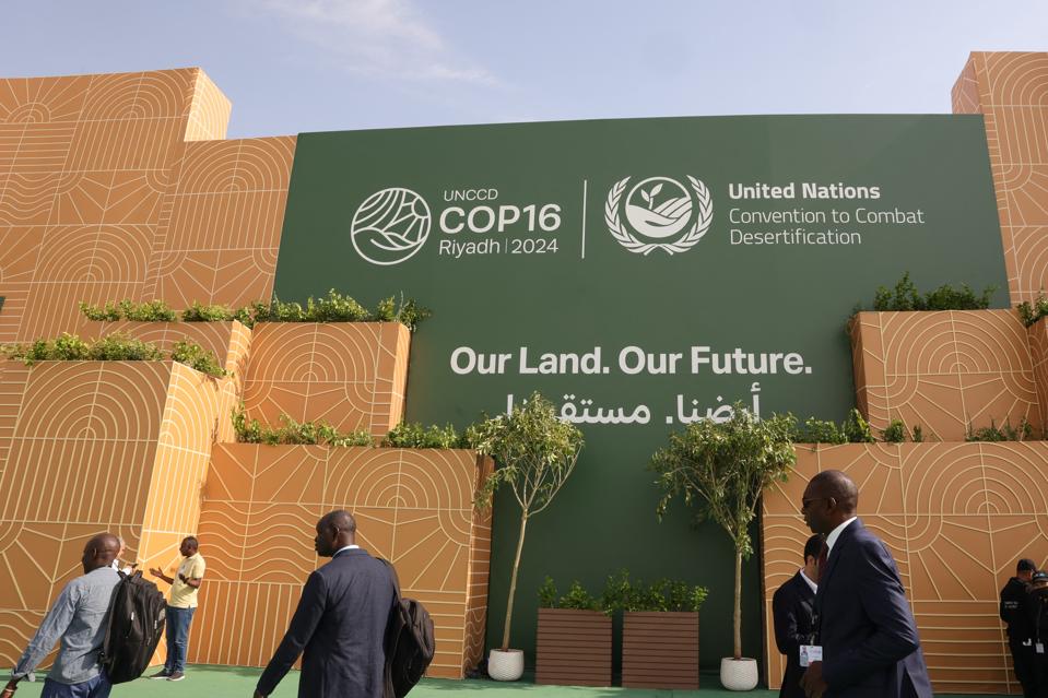 Riyadh’s COP16: A Milestone In The Fight Against Drought, Experts Say