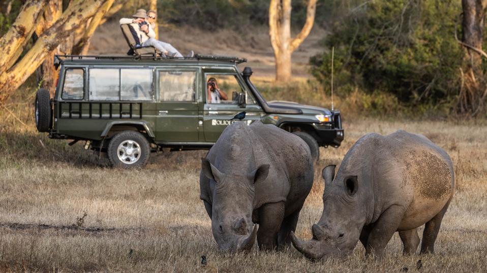 20 Safari Lodges That Showcase The Luxury Side Of Ecotourism