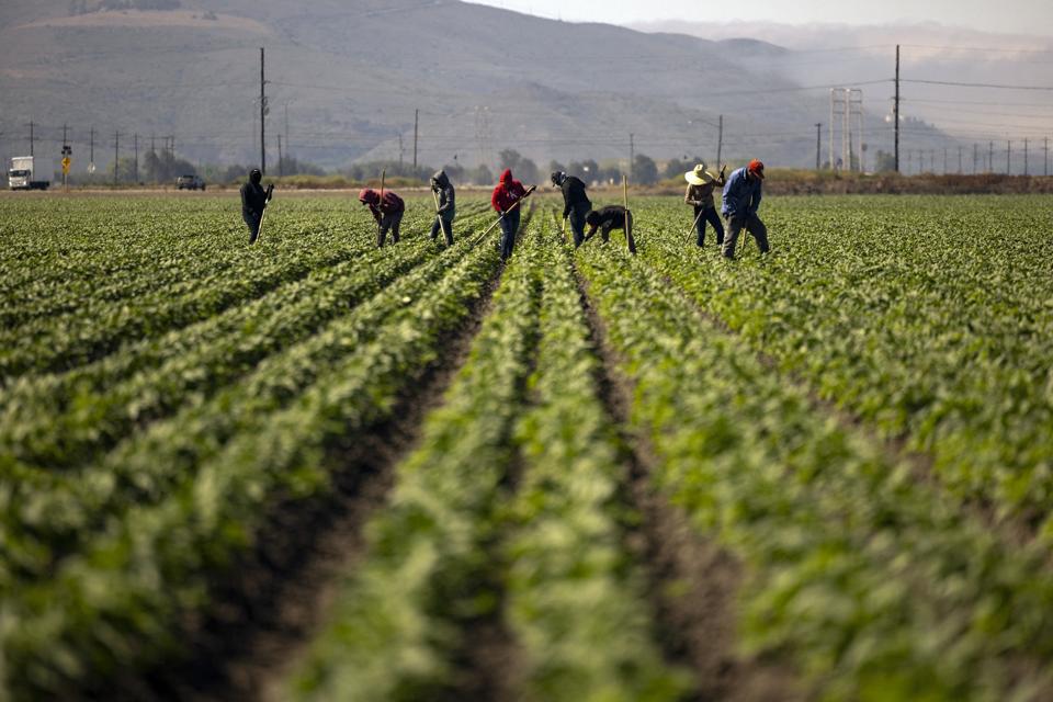 Project 2025’s Immigration Policy: Impact On US Workforce And Economy