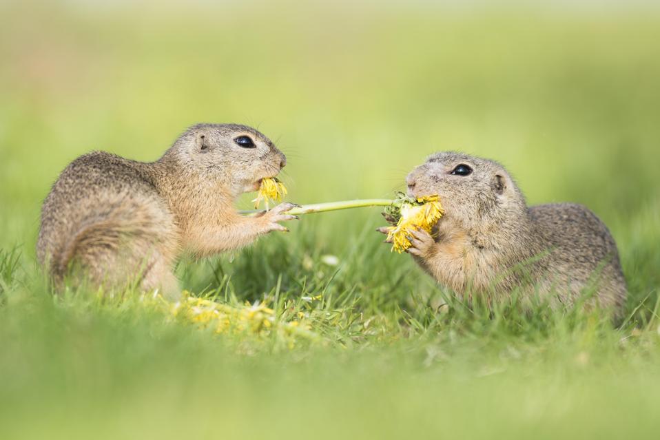 8 Questions To Deepen Your Friendship And Create Strong Bonds