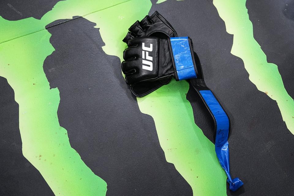 UFC Veteran Reverses Course On Retirement Plans, Will Fight On