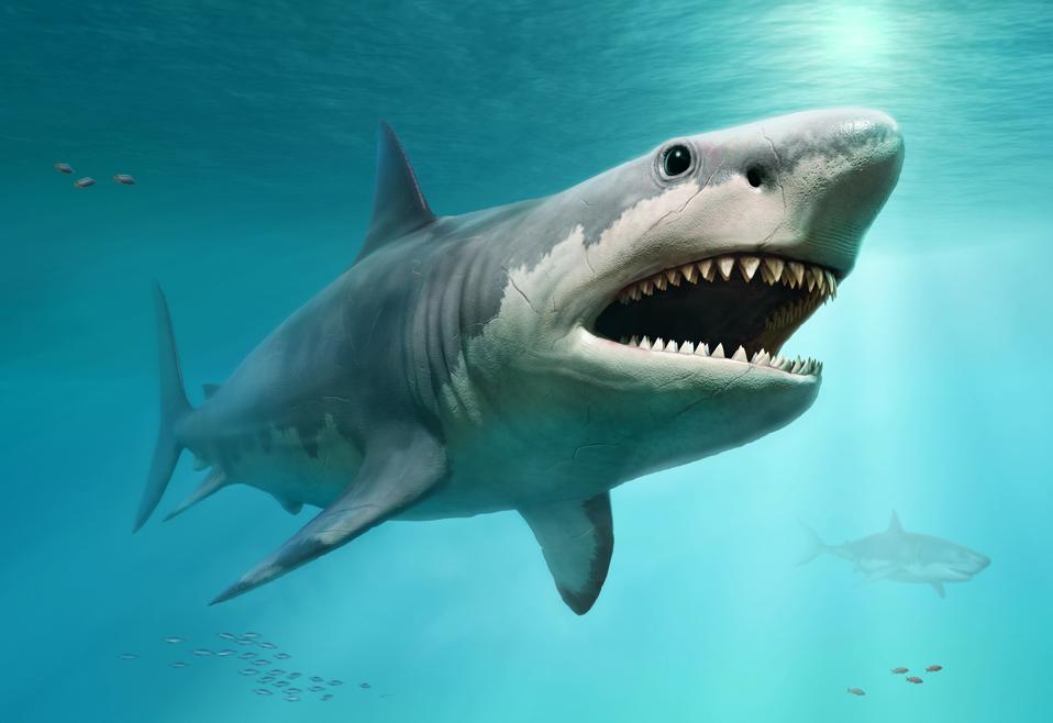 Intelligent Life In Cosmos Is Likely Very Rare, Says Paleontologist