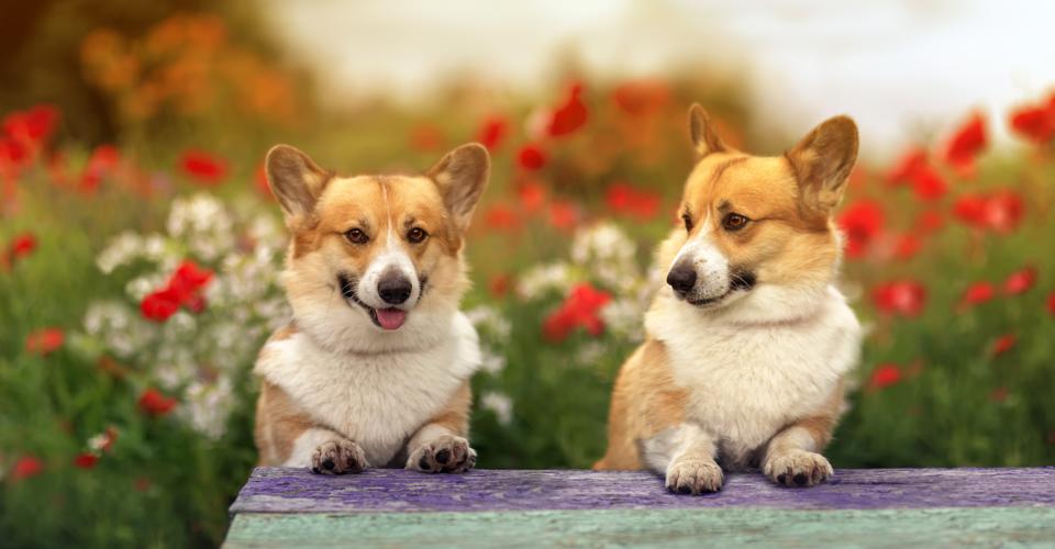 How Friends Influence You. 5 Important Factors To Know