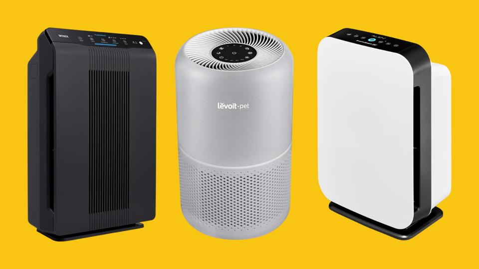 Best air purifier for multiple pets store