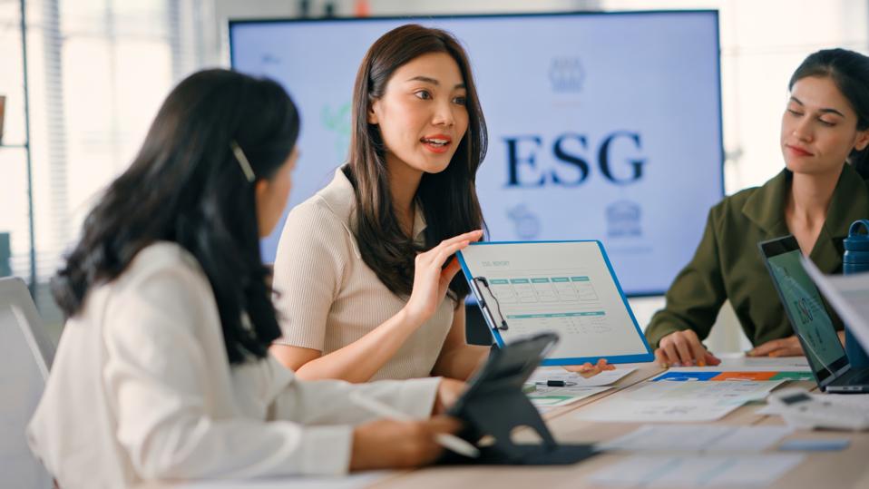 18 Strategies Businesses Can Use To Prepare For ESG Investments