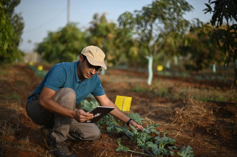 Sustainable Farming: How AgTech Leaders Can Tackle Adoption Challenges