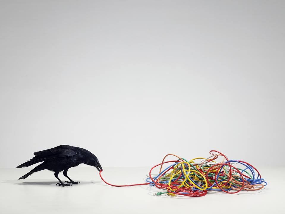 Managing Complexity In An Age Of Oversimplification