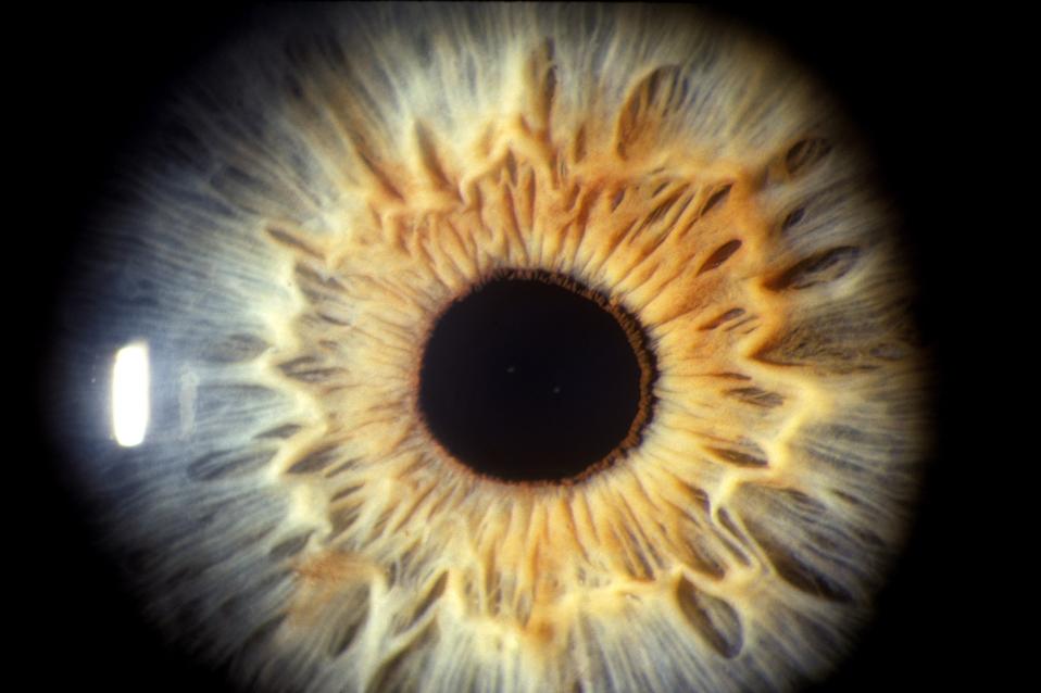 Artificial And Biological Vision