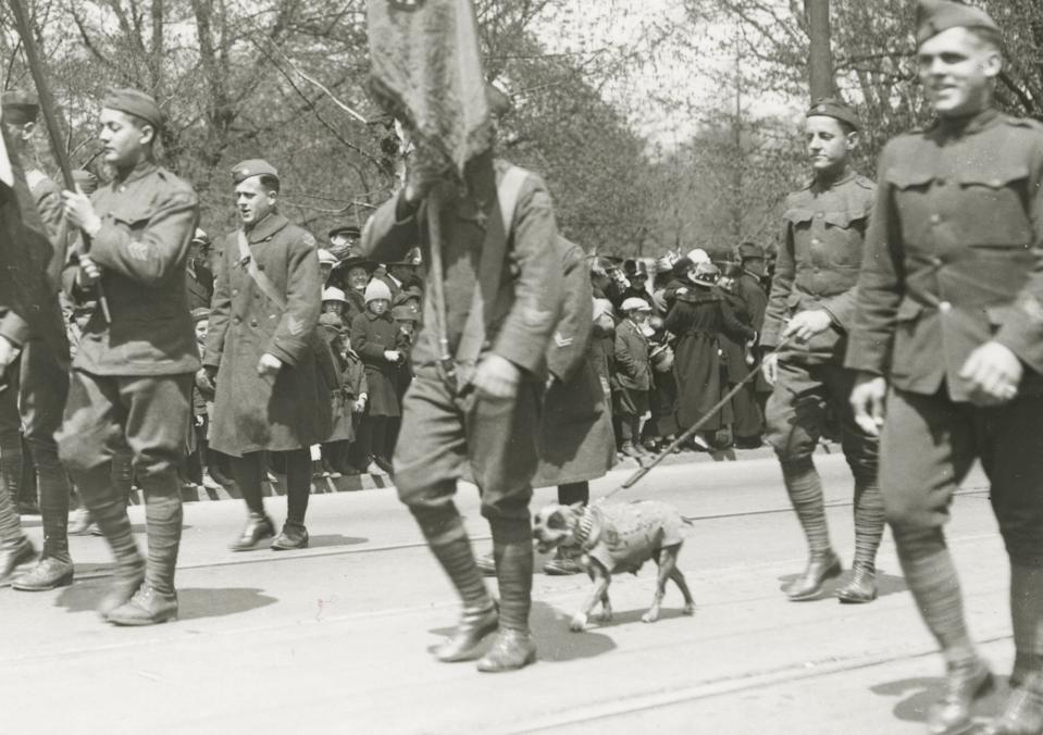 Meet ‘Sergeant Stubby’—A WWI Dog Who Wandered Onto An Army Training ...