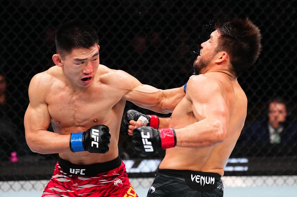 UFC Fight Night Seattle Results: Bonus Winners And Highlights