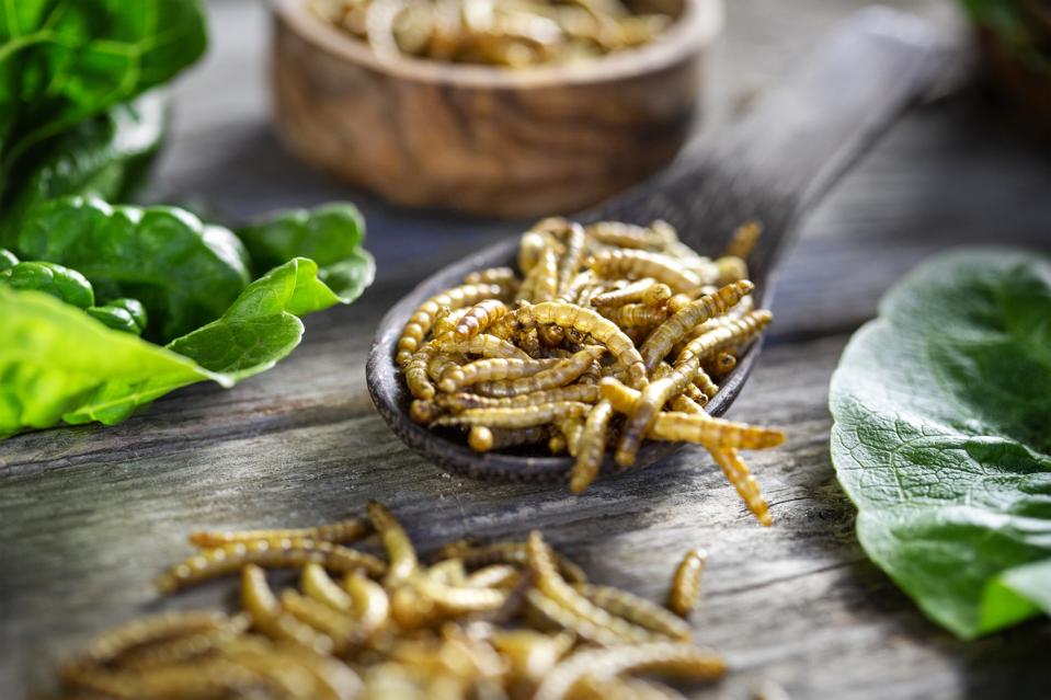 European Union Allows Mealworm Powder In Foods. What’s The Impact?