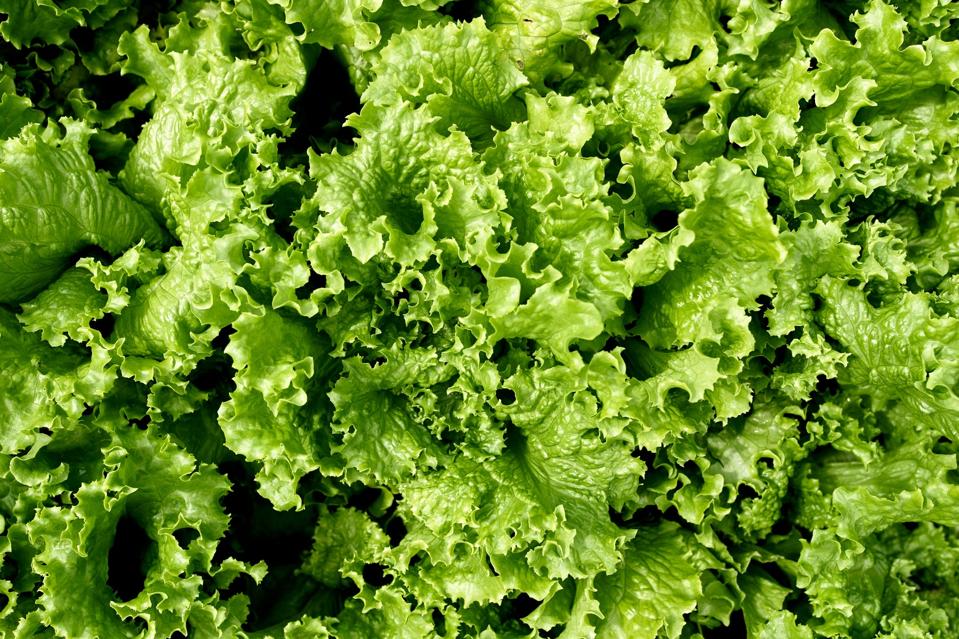 Salad Recall Elevated To FDA’s Deadliest Category—Here’s What To Know