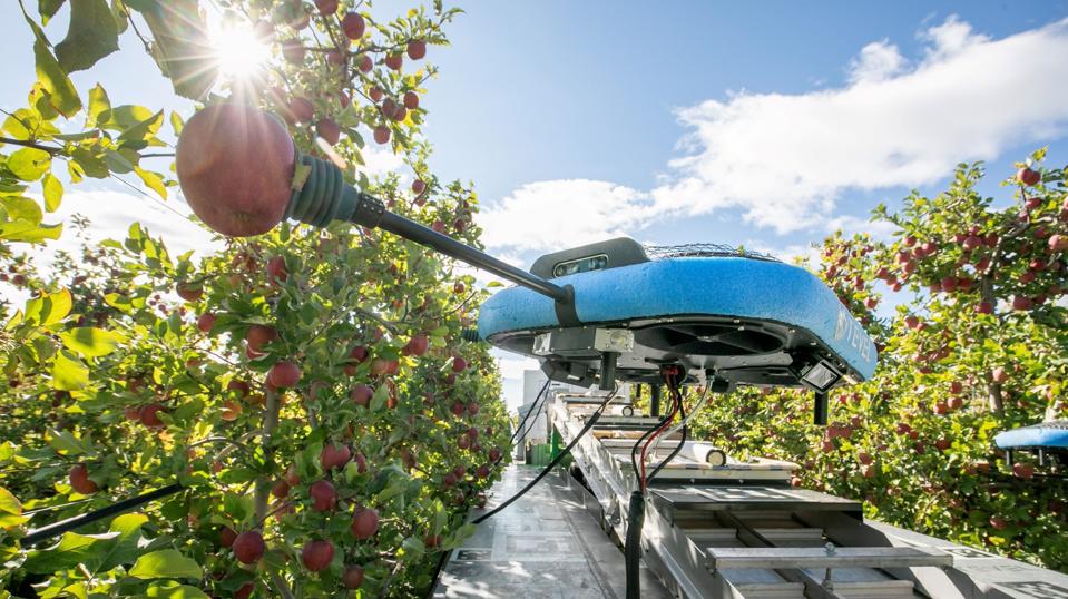 From Israel With Smart Technology: Improving Global Food Security