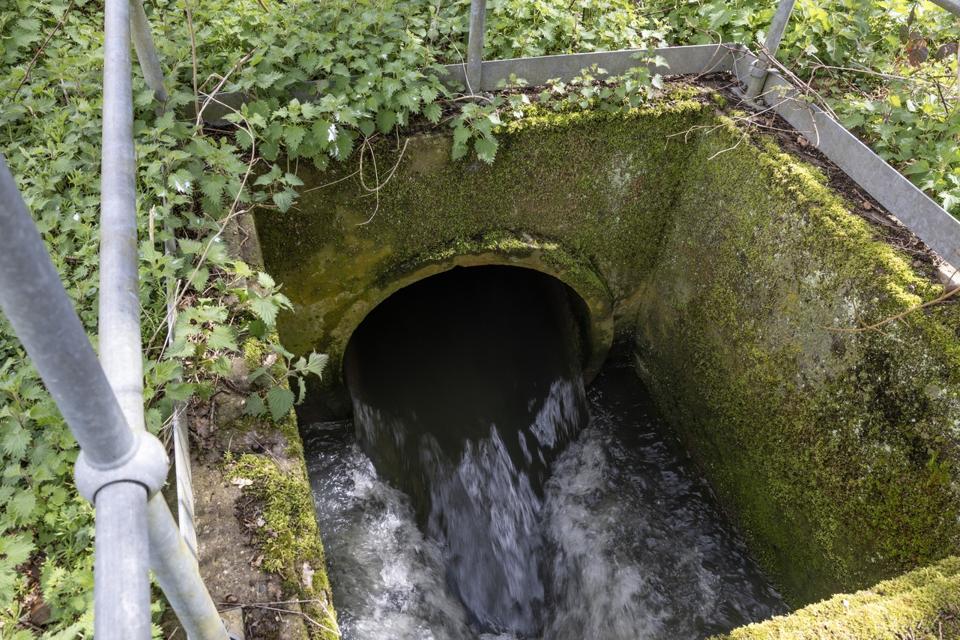 Counting The Economic Cost Of Poor Sewage And Waste Water Treatment