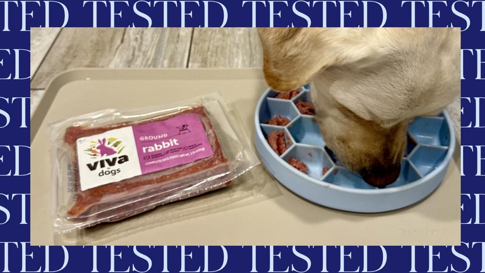 Best Raw Dog Food 2025 - Forbes Vetted