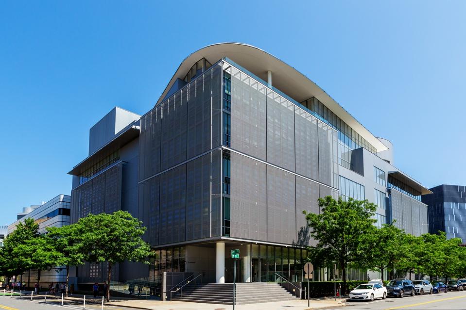 Addressing AI’s Impact On Humans