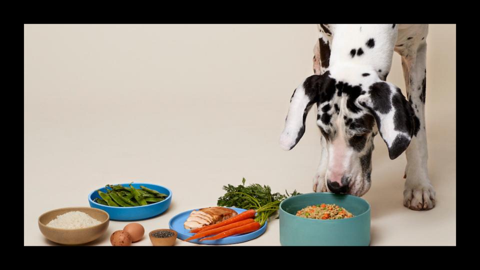 Best Fresh Dog Food 2026 - Forbes Vetted