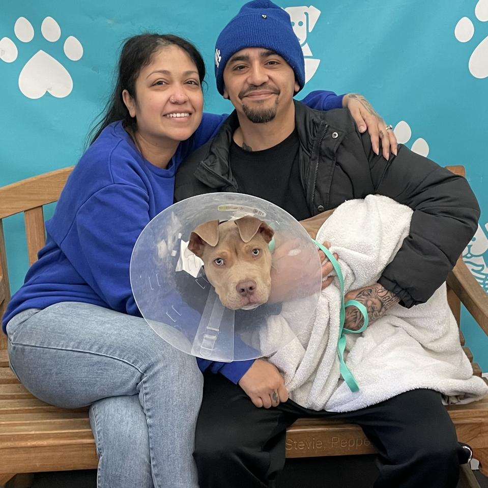 Shelter Reunites Families With Pets Displaced By LA Wildfires