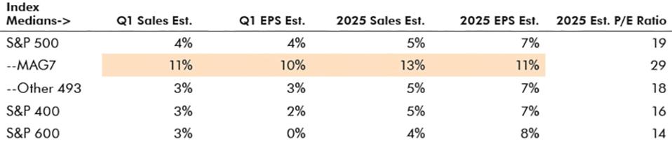 Q1 2025 Earnings Season Outlook