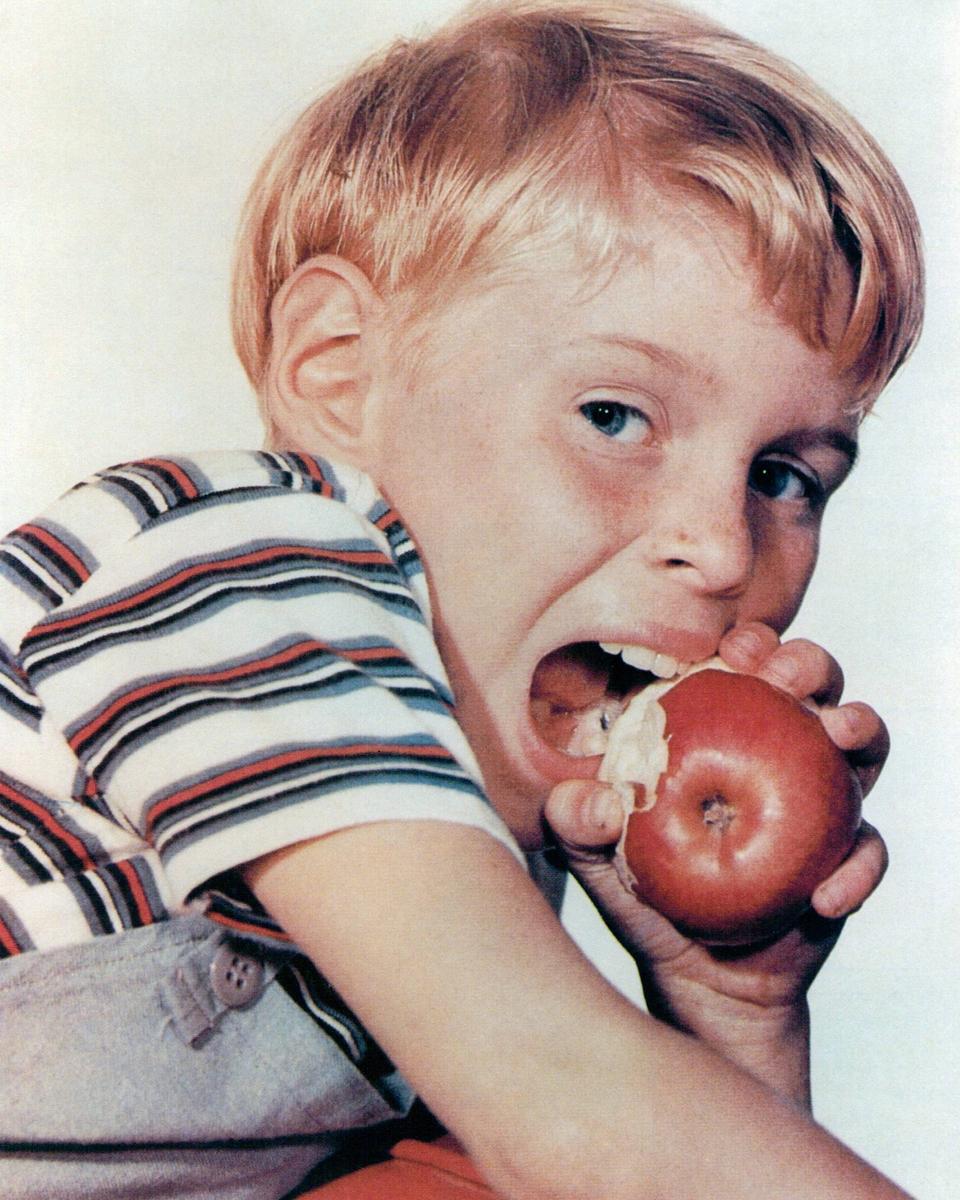 Jay North, Former ‘Dennis The Menace’ Child Star, Dies At 73