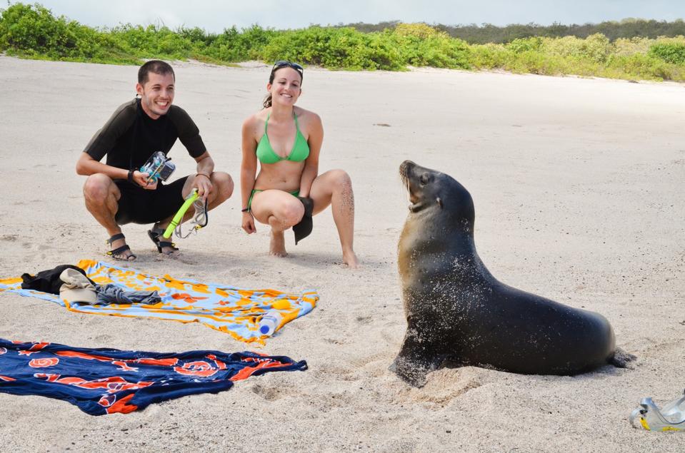 5 Beaches Where Wildlife And People Share The Shore In Perfect Harmony