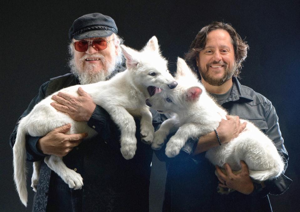 Long Extinct, Dire Wolves Are Back, And Not Just In ‘Game Of Thrones’