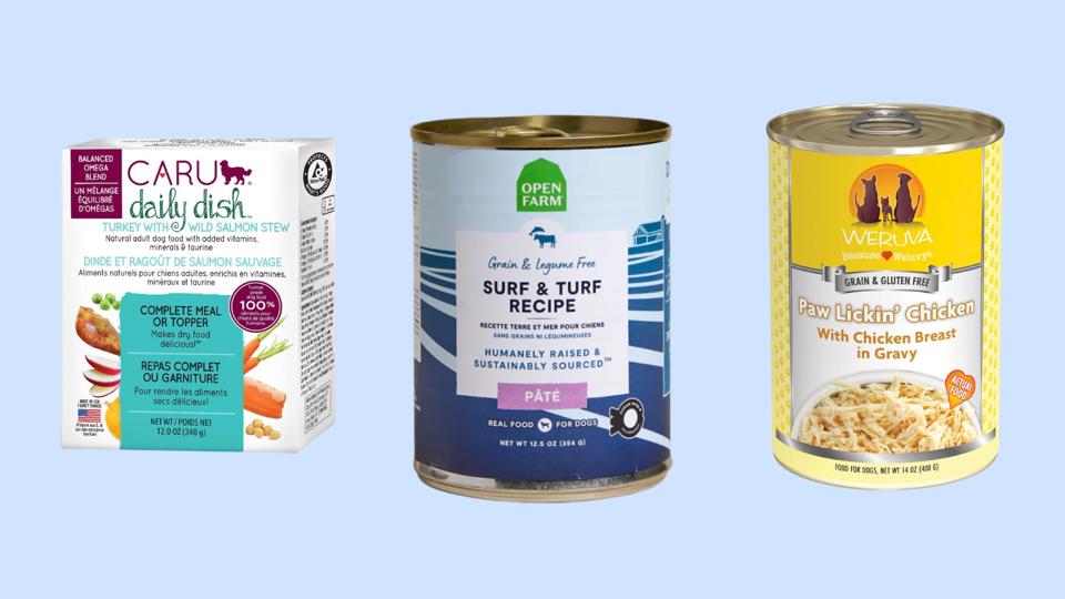 Best Wet Dog Foods 2025 - Forbes Vetted
