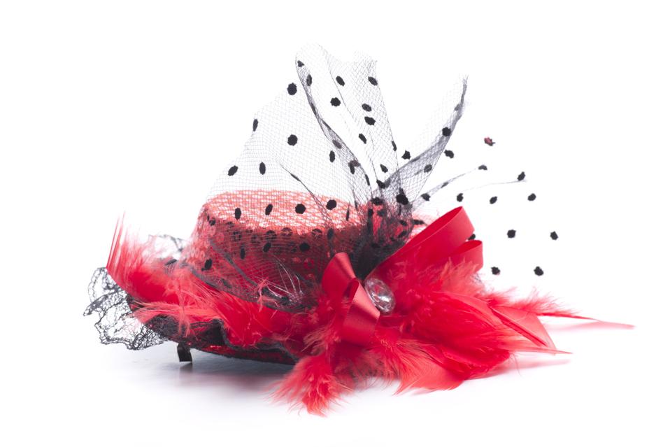Meet The 19th Century ‘Fashion Piece’ That Caused The Extinction Of 3 ...