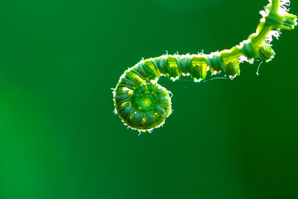 Don’t Be The Smartest Person In The Room—Be The Most Curious