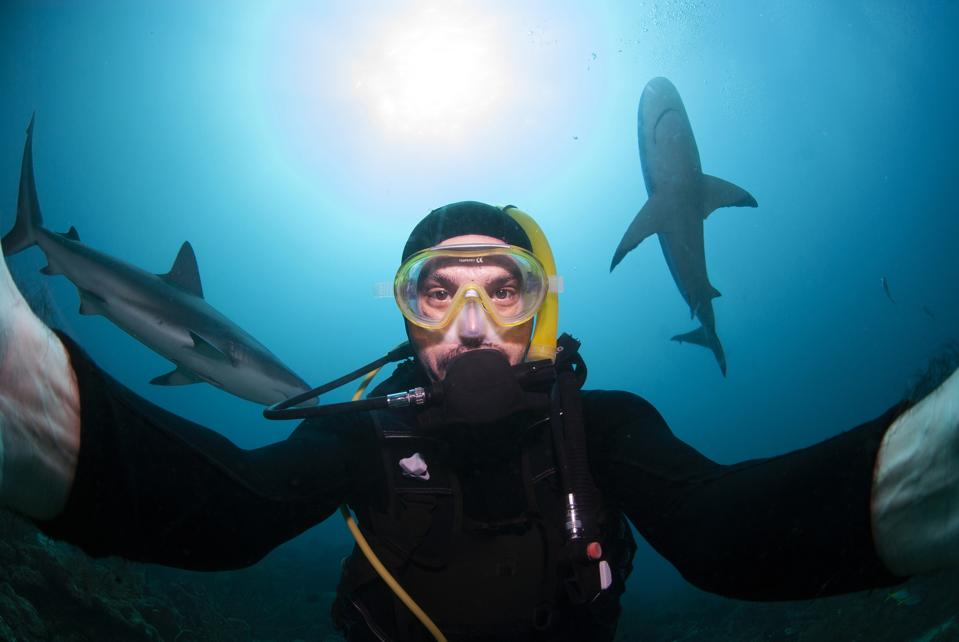 Influencers Are Getting Too Close To Sharks... And It’s Getting People Hurt