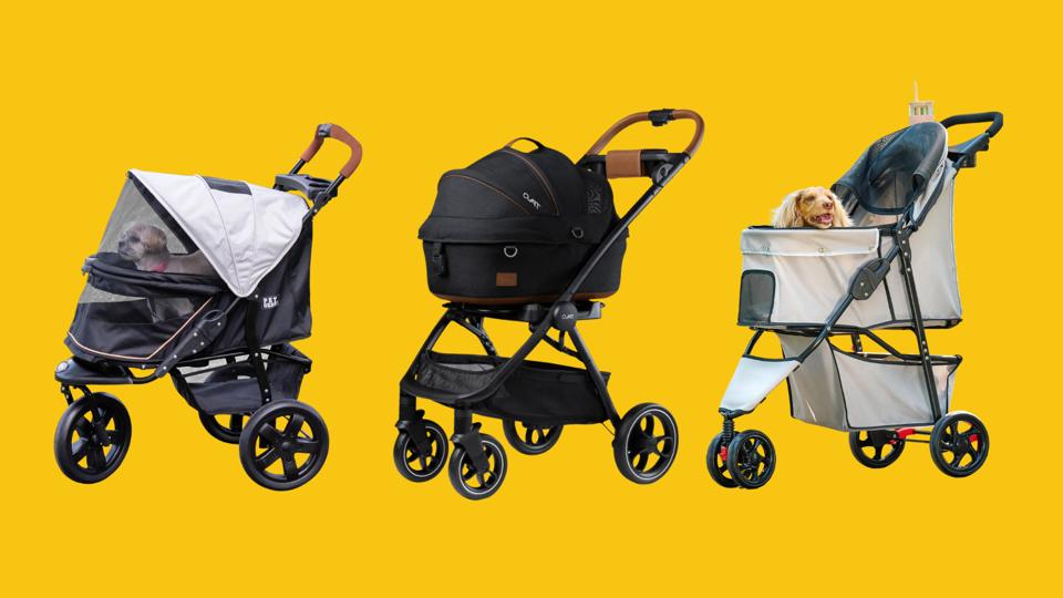 Best Dog Strollers 2026 - Forbes Vetted