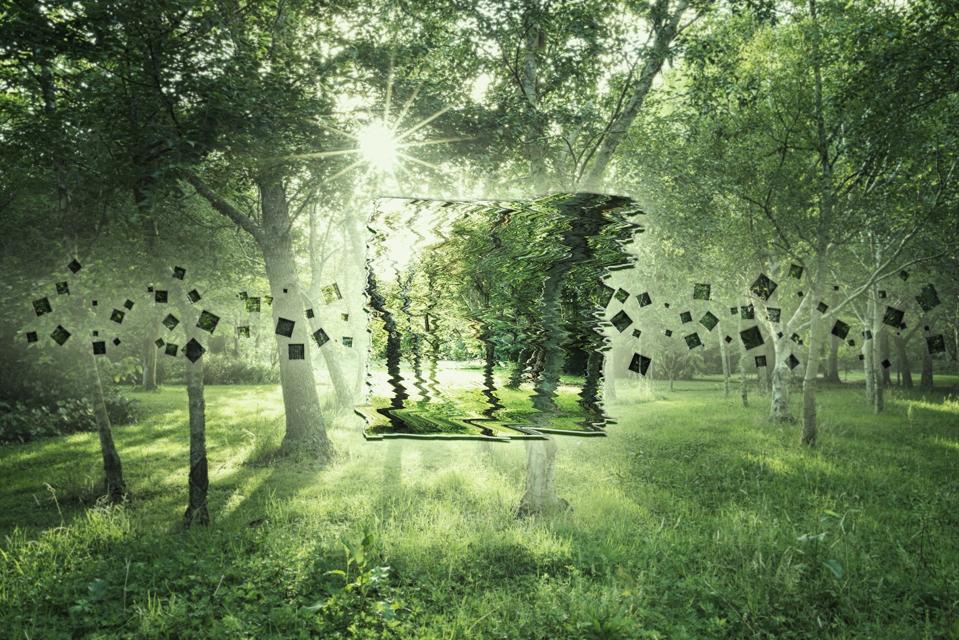 How Nature Inspires Tech: Real-World Examples Of Living Intelligence
