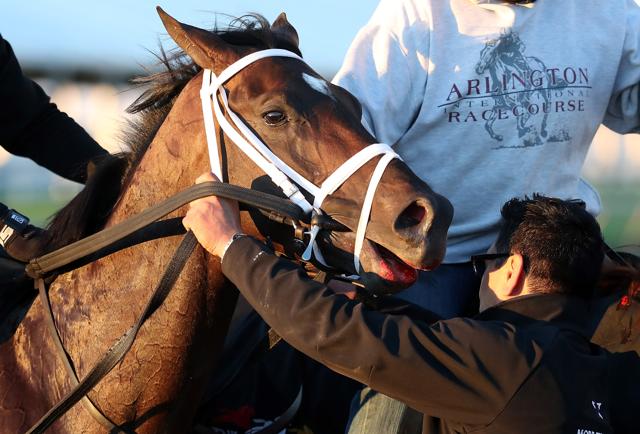 The 2017 Preakness: Preview of the Favorites, the New Entries, and the ...