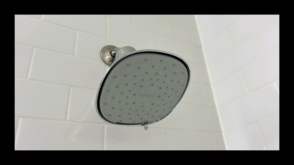 Best Filtered Shower Heads 2026 - Forbes Vetted
